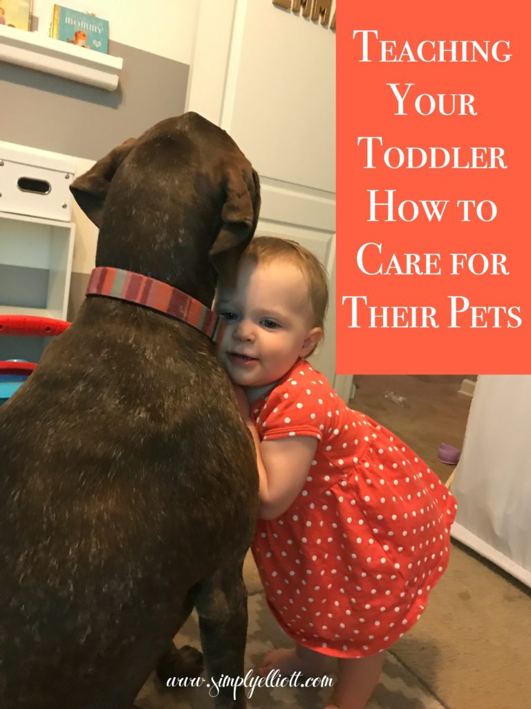 Teaching Your Toddler How to Care for Their Pets - Simply Elliott