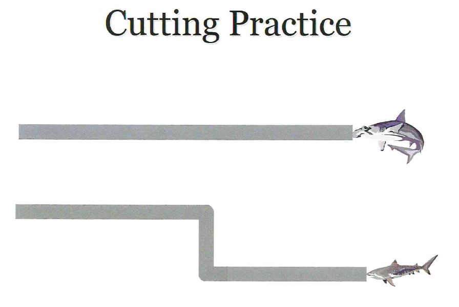 Shark Week | Theme Weeks - Simply Elliott